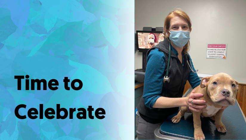 VetCor | Community Based Veterinary Practices