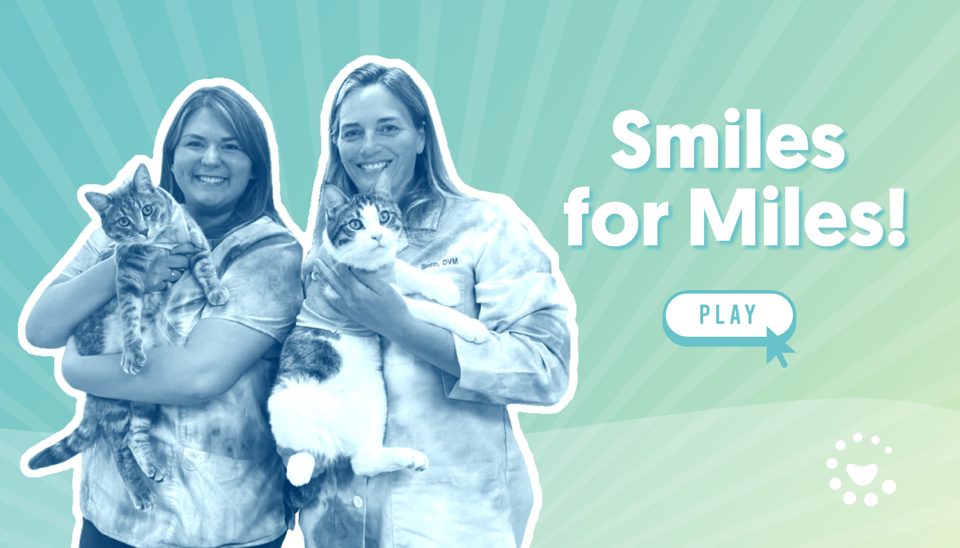 VetCor | Veterinary Care Network